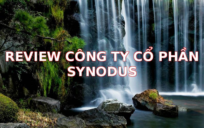 Review Công Ty Cổ Phần Synodus: Đánh Giá Chi Tiết Từ Góc Nhìn Nhân Sự ...